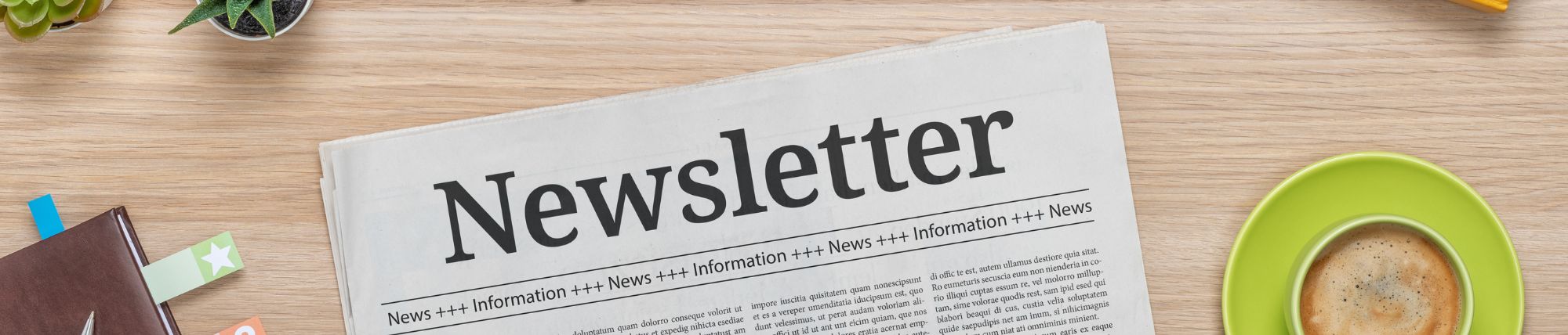 Newsletter der lightzins eG